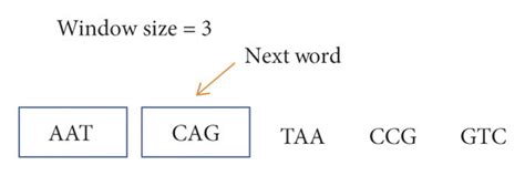 Translating Sequence Of Dna Into Words Download Scientific Diagram