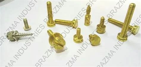 Brass Turned Screw Packaging Type Packet At Best Price In Jamnagar