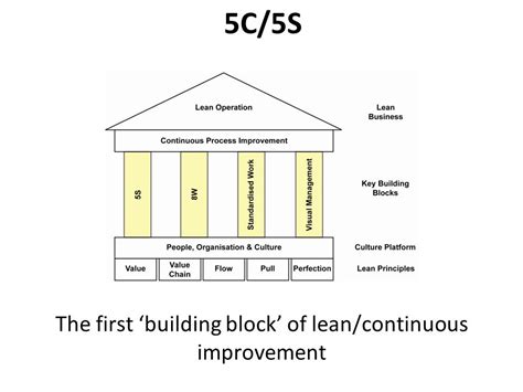 5C Lean Six Sigma Training Guide Copy