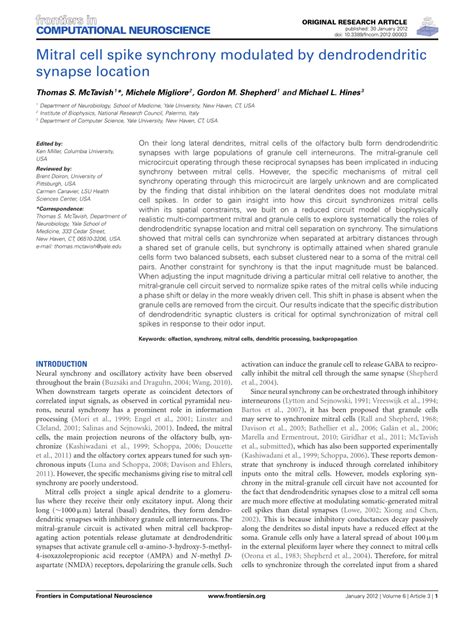 Pdf Mitral Cell Spike Synchrony Modulated By Dendrodendritic Synapse