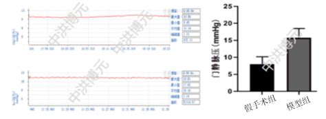 胆道结扎诱导胆汁性肝硬化模型 中洪博元商城 疾病动物模型 实验动物 动物实验物资