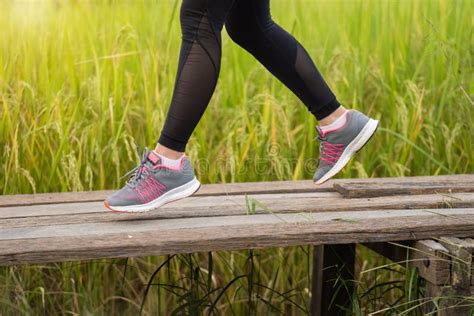 Woman Feet Running On Wooden Path In Field Stock Photo Image Of Feet Active