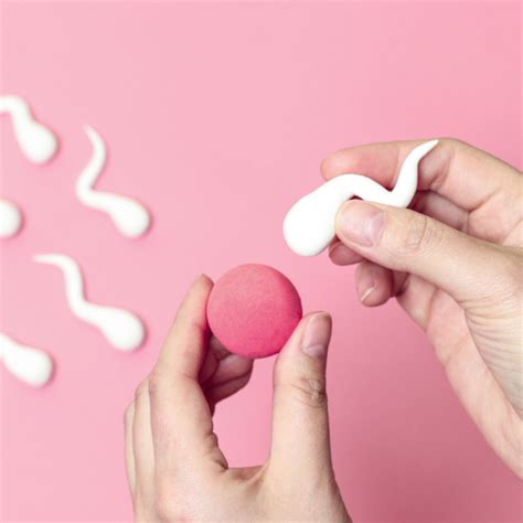 Sex And Fertility Blood Tests Goodbody Clinic