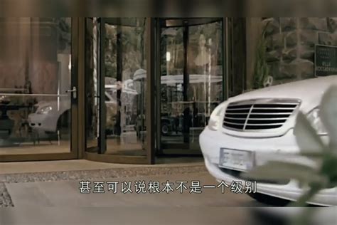 全世界最 土豪”的狗，坐拥25亿财富，12个仆人专职伺候！
