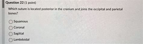 Question 22 1 Point Which Suture Is Located Posterior In The Cranium
