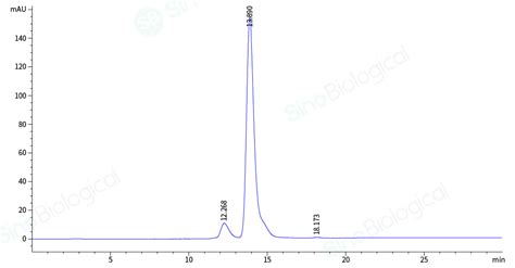 Recombinant Human Arf1 Protein 14968 H09e Sino Biological