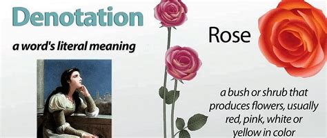 Notes Connotations And Denotations Logical Reasoning For Ugc Net Pdf Download