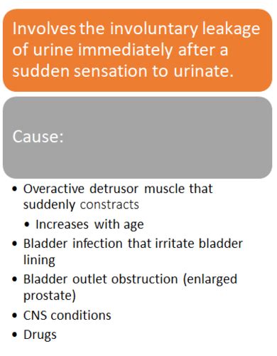 Exam 2 Urologic Problems Flashcards Quizlet