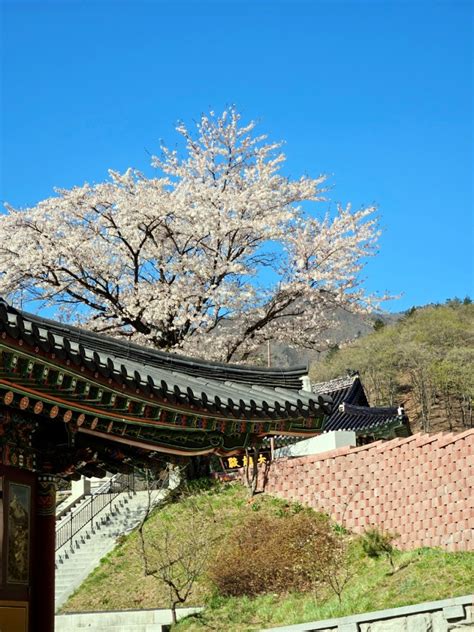 강원도 고성 가볼만한곳 금강산 화암사 유모차 가능 네이버 블로그