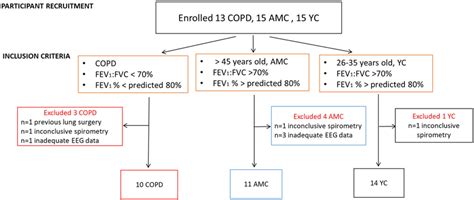 Flow Chart Of Participants Recruitment Participants Had Moderate To Download Scientific
