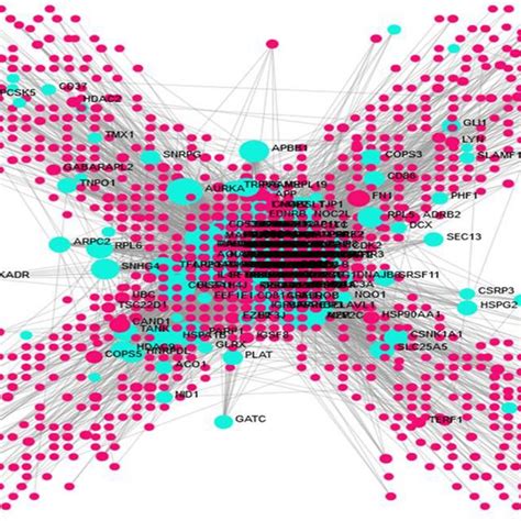 Tissue Specific Ppi Network For The Differentially Expressed Genes The