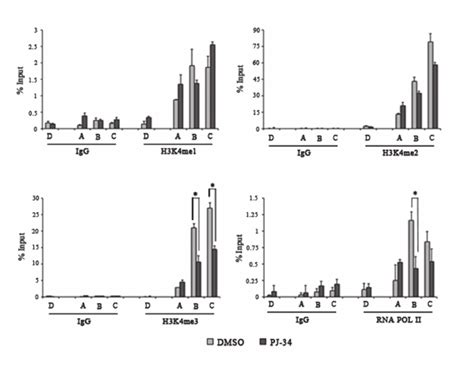 Parylation Controls Histone H3k4 Trimethylation And Rna Pol Ii