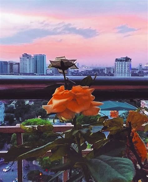 Пин на доске Lưu Nhanh