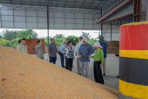 ពោត៥៣០រៀលឡើងក្នុង១គីឡូក្រាមទើបមិនខាត លោក កៅ ថាច ស្នើម្ចាស់សីឡូឱ្យជួយទិញកសិករក្នុងតម្លៃនេះ