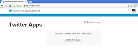 Oauth Login With Twitter In Aspnet Mvc Website With Example Tutlane