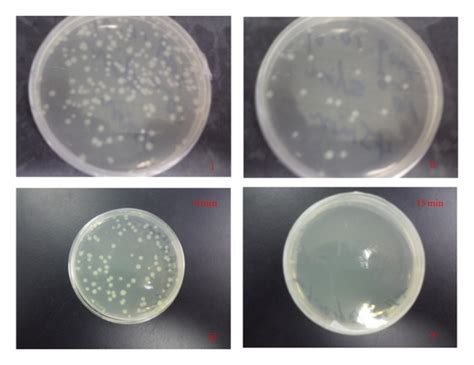 Inactivation Effect Of E Coli By Visible Light Irradiation Using Tio2