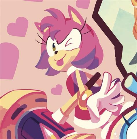 Amy Rose Idw Amy Rose Amy The Hedgehog Shadow And Amy