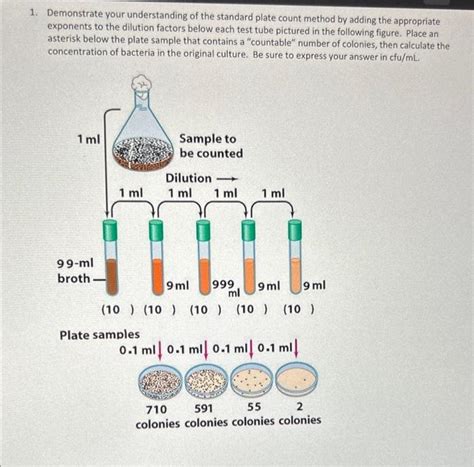 Solved 1 Demonstrate Your Understanding Of The Standard