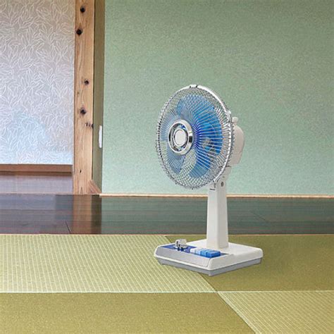 Retro Fan