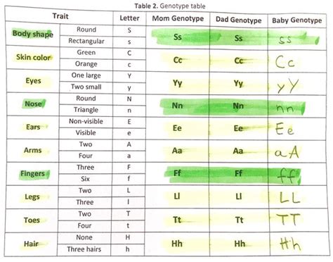 Investigate Alien Genetics Stem Activity Investigate Alien Genetics Stem Activity