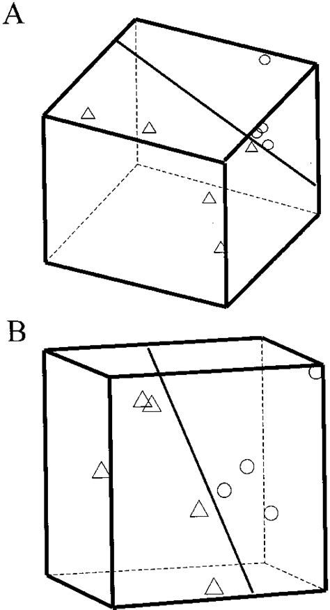 Visual Representations Of The Structure Of The Multidimensional Gene
