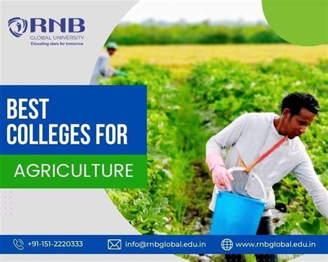 Best Colleges For Agriculture