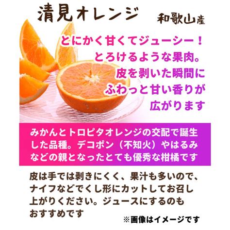 超わけあり 清見オレンジ 10kg 【 送料無料 Ksロットa 訳あり 清見 オレンジ 清見タンゴール きよみ 和歌山 柑橘 産地直送