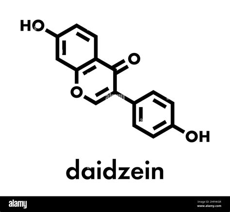 Daidzein Isoflavone Molecule Skeletal Formula Stock Vector Image And Art