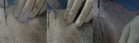 Figure S1 Observed Surgical Smoke Generated By Three Electrocauteries