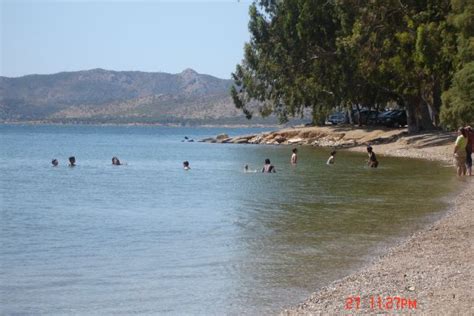 Εδεμ Ενοικιαζομενα Δωματια Στουντιο δυαρια Νεα Περαμος Αττικης