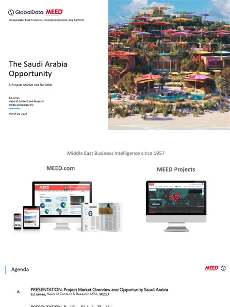 Saudi Giga Projects An Audience With Red Sea Global Pdf Gulf
