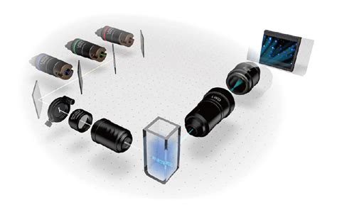 Nanoparticle Tracking Analysis