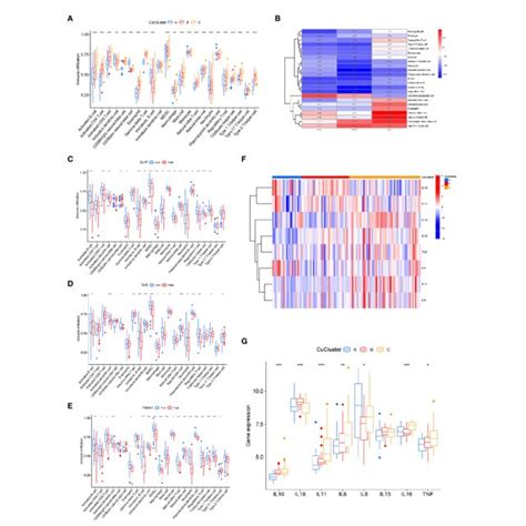 Consensus Clustering Of Hub Genes Associated With Cuproptosis In Download Scientific Diagram