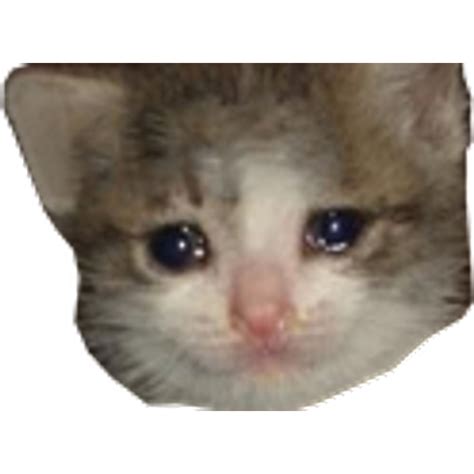 Sticker Maker Gatos Uwu