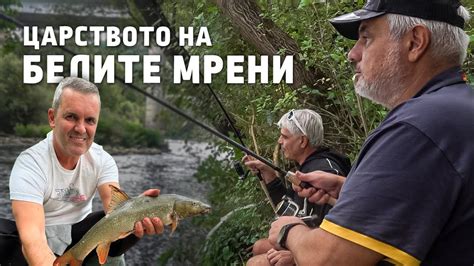 Карлуково царството на БЕЛИТЕ МРЕНИ Youtube