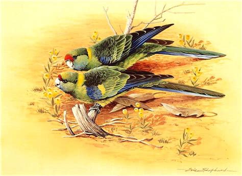 Amarna Imagens Pinturas De Eric Shepherd