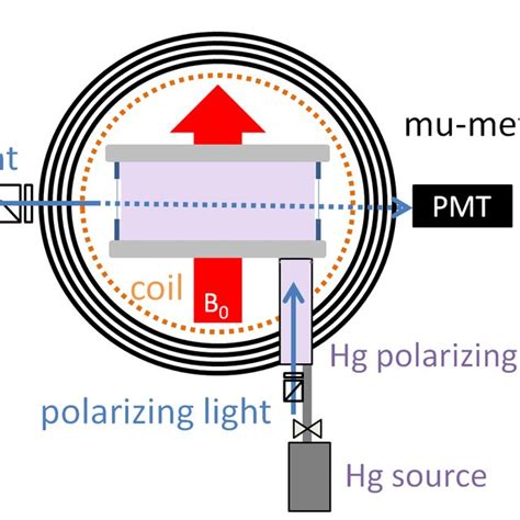 The Hg Co Magnetometer Used For The Nedm Experiment Download Scientific Diagram