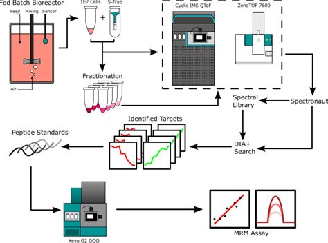 From Discovery To Delivery A Rapid And Targeted Proteomics Workflow
