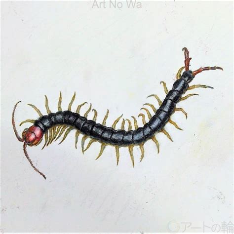 アート作品 アートの輪