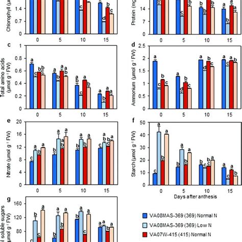 Effect Of Nitrogen Application On Grain Carbohydrate And Nitrogen