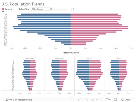 Visualize Social Science Data With Population Pyramids