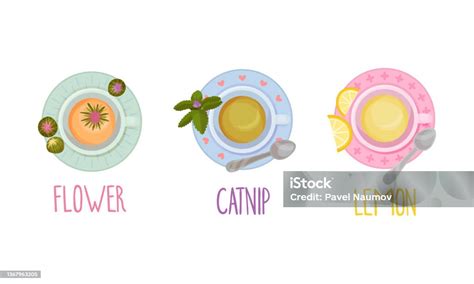 뜨거운 향기로운 차 세트 꽃 캐닙 레몬 차 벡터 일러스트가 있는 찻잔의 최고 전망 0명에 대한 스톡 벡터 아트 및 기타 이미지 0명 개박하 그릇 Istock