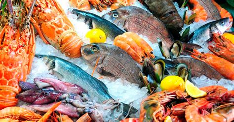 ¿qué Pescados Tienen Un Alto Contenido En Mercurio