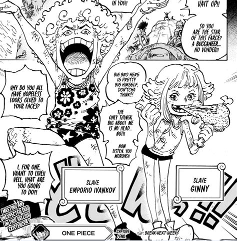 Chapter 1095 Finally Introduces Luffys Mom One Piece