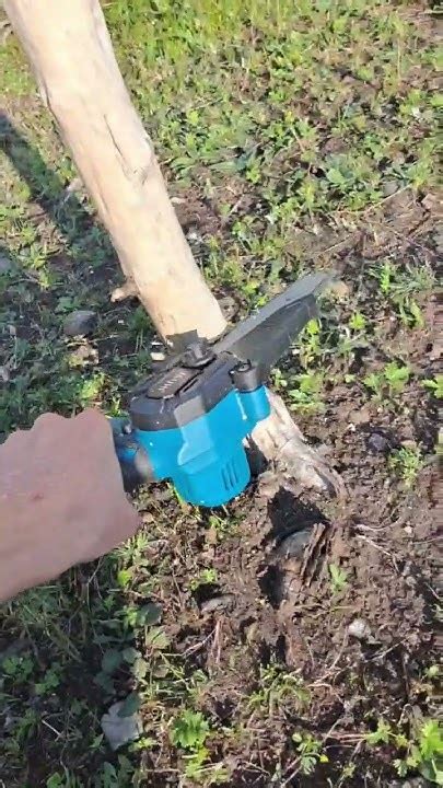 Ножовка Цепная на Аккумуляторе #automobile #животные #goat #животные # ...