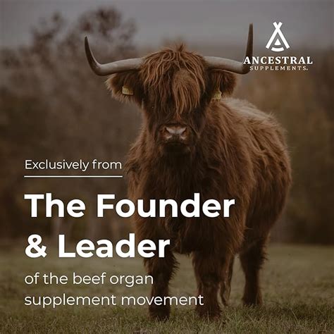 Ancestral Supplements Grass Fed Beef Brain Supplement With Beef Liver