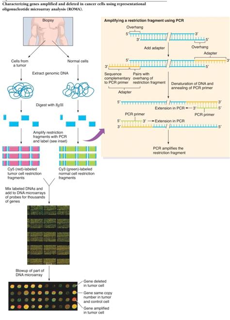 Follow Shailaja Kumari