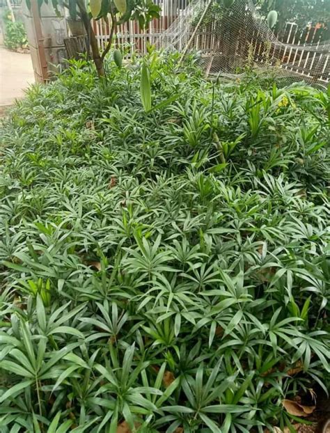 ສະຖານີວິທະຍຸ ໂທລະພາບ ສະຖານີວິທະຍຸ ໂທລະພາບ ແຂວງບໍ່ແກ້ວ