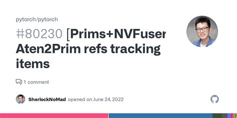 [prims nvfuser] aten2prim refs tracking items · issue 80230 · pytorch