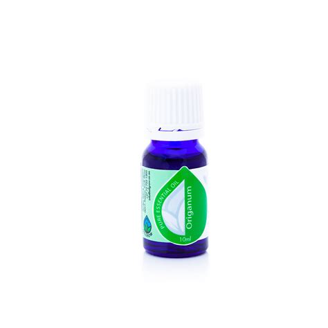 Origanum Origanum Vulgare Healthy Owl